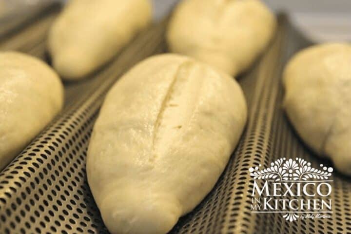 How to Make Bolillos Recipe【 Surprise your family today!