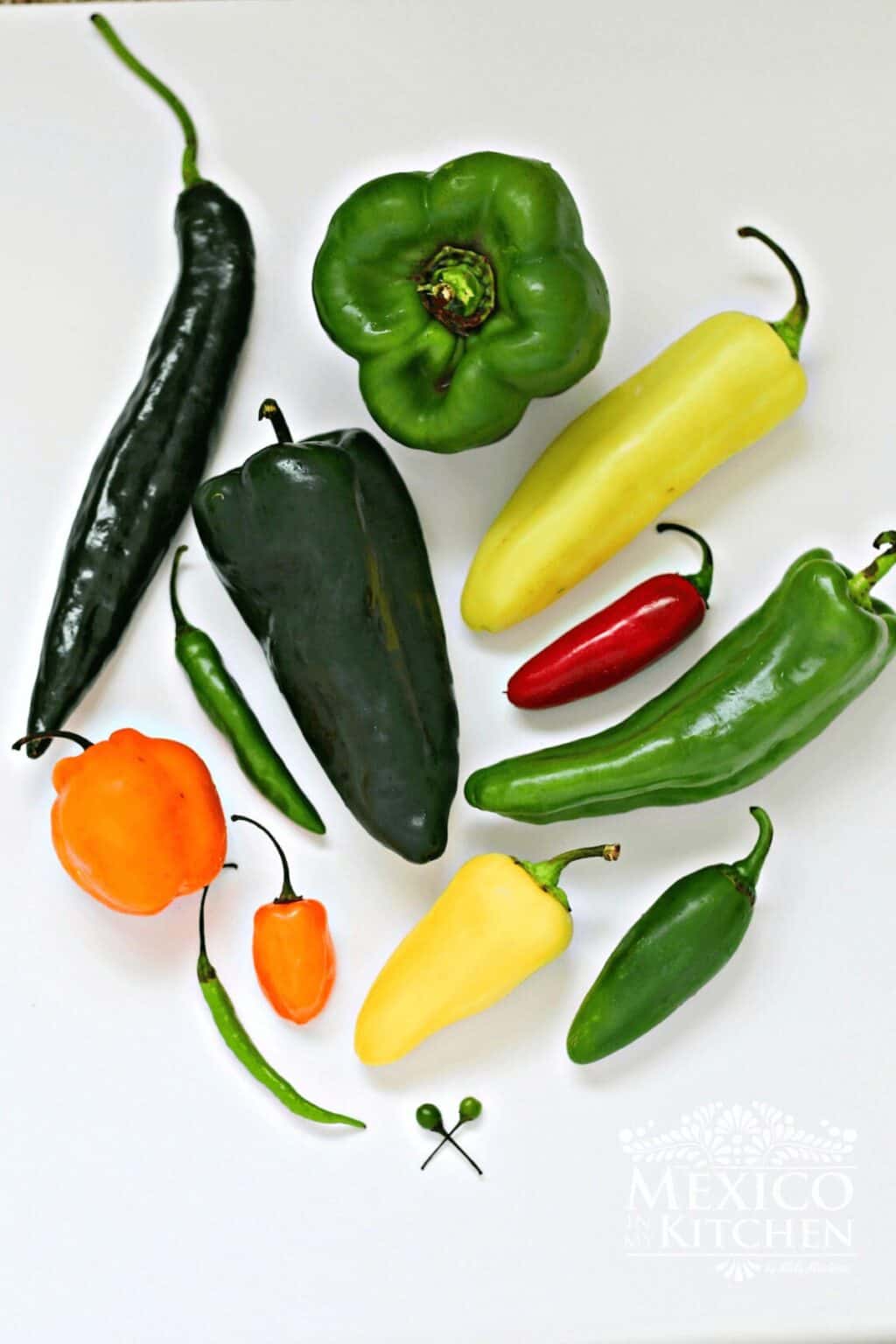 Fresh Mexican Peppers - Mexico In My Kitchen