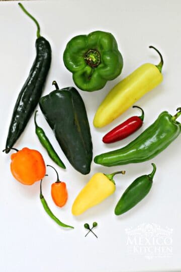 Fresh Mexican Peppers - Mexico In My Kitchen