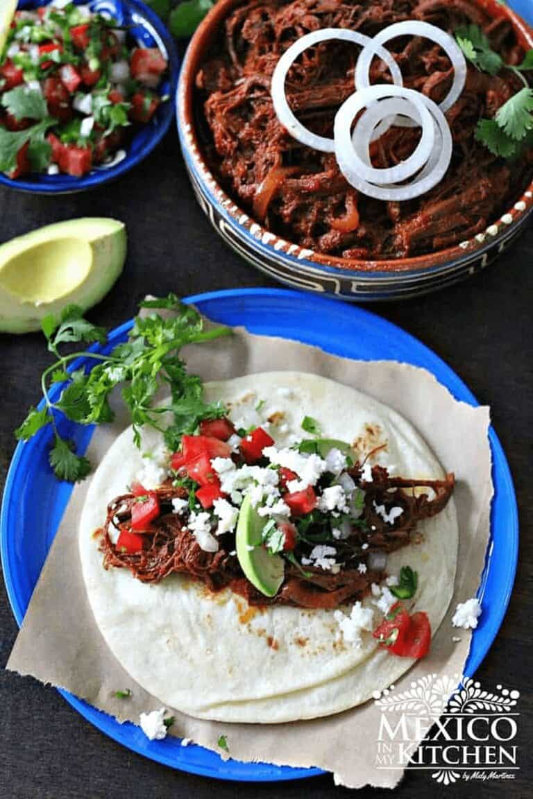 Everything About Ancho Chiles, and How To Cook With Them. - Mexico In ...