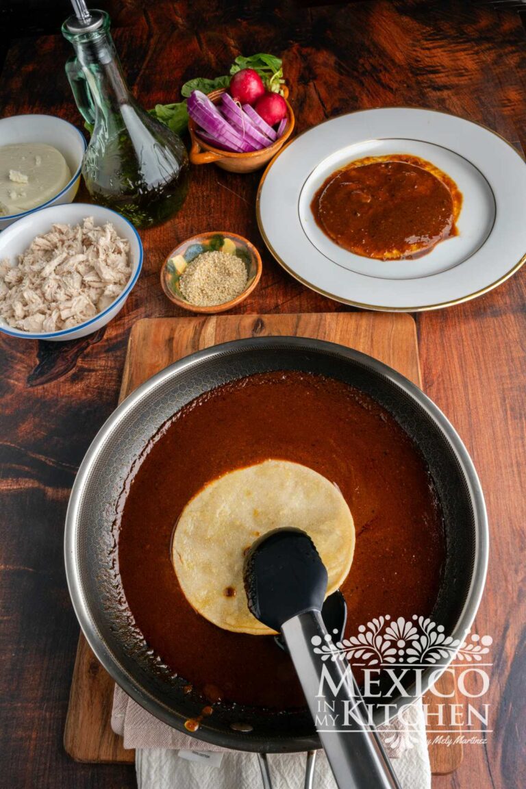 Enmoladas | Chicken Mole Enchiladas