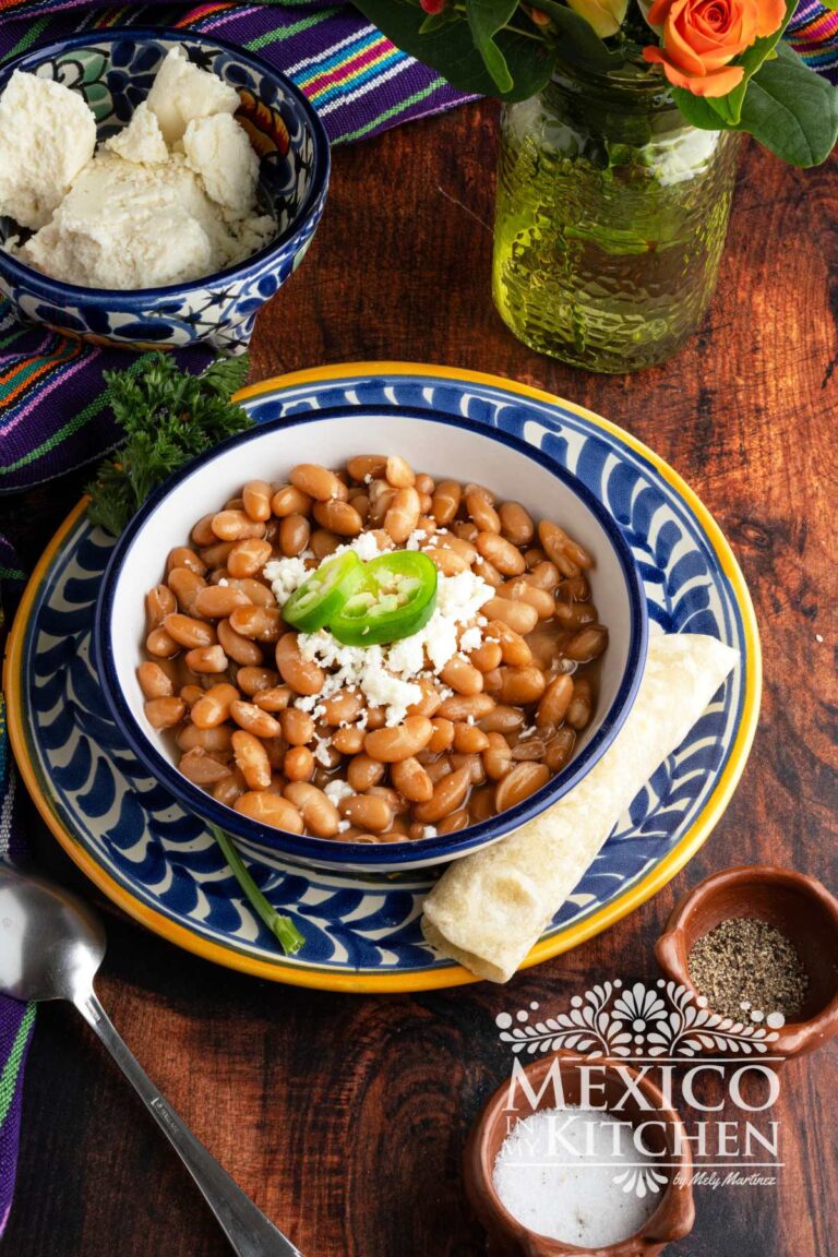 Mayocoba beans