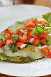 Grilled Cactus Recipe | Nopales Asados