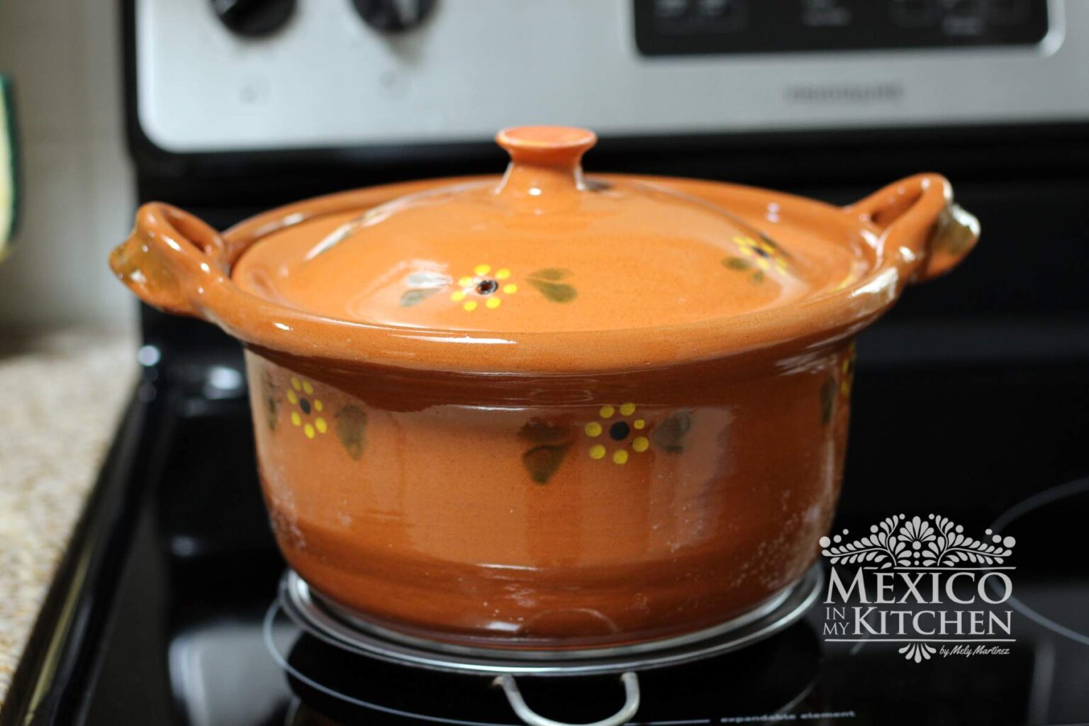 Easy Chicken Stew Recipe │Olla Tapada │Mexican Food Recipes